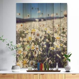 Designart 'Mountain Plain With Daisy Flowers' Nautical & Coastal Wood ...