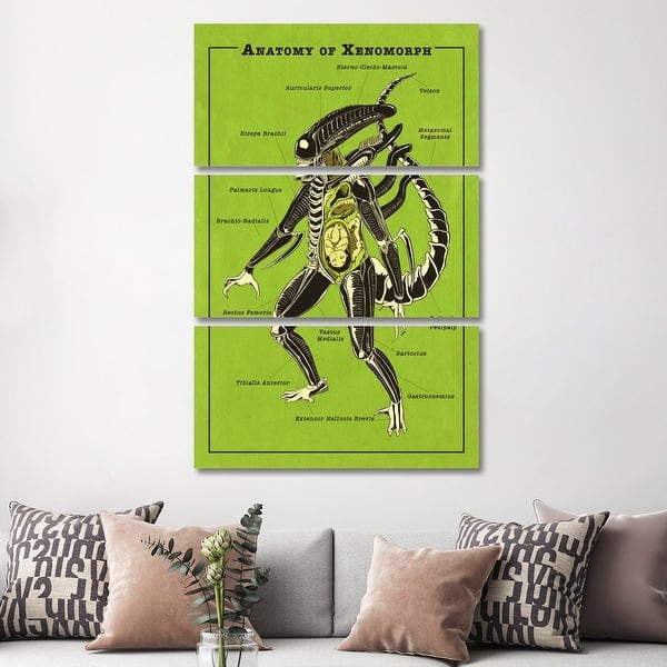 iCanvas "Alien Anatomy Diagram" by 5by5collective 3-Piece Canvas Wall ...