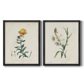 Traditional Botanical III Premium Framed Canvas - Ready to Hang - Bed ...