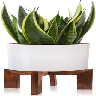 Wood Plant Standit 5-15 Inch Pot - Bed Bath & Beyond - 39203099