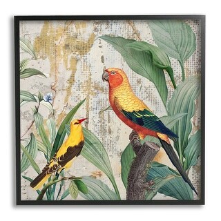 Stupell Perched Birds Collage Framed Giclee Art Design by Karen Smith ...