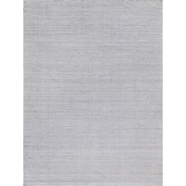EXQUISITE RUGS Gamma Indoor/Outdoor Flatweave PET yarn Silver Area Rug ...