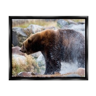 Stupell Bear Bathing In Stream Photography Framed Floater Canvas Wall ...
