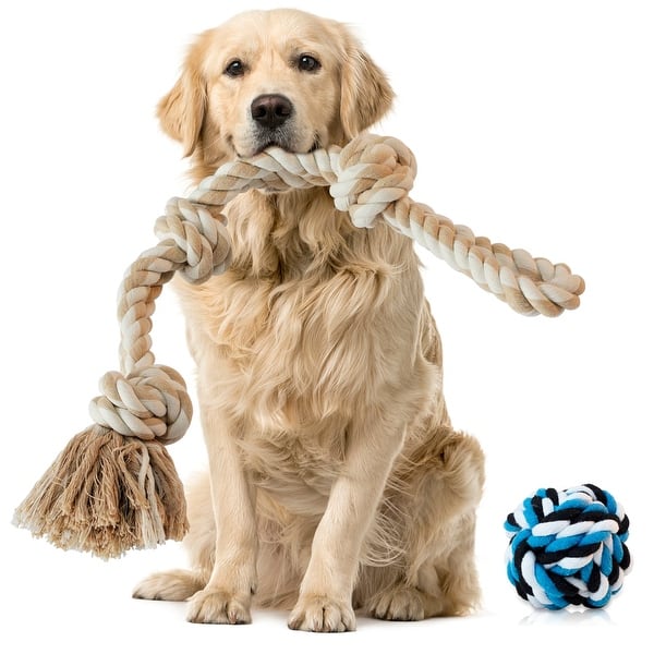 large rope dog