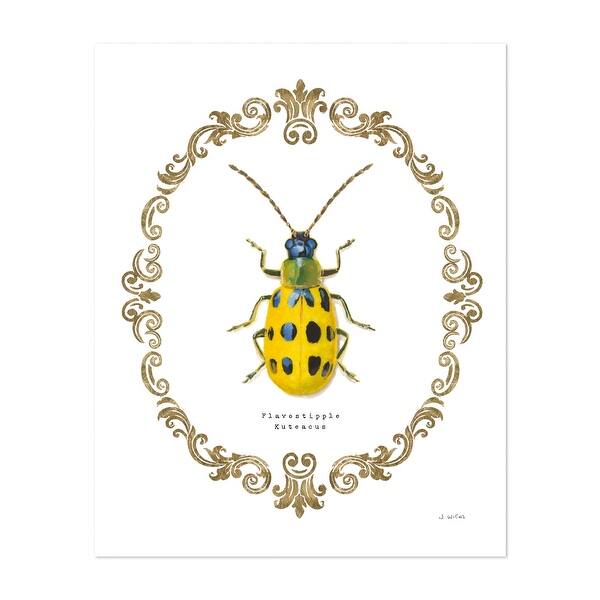 Adorning Coleoptera VII Illustrations Animals Beetle Art Print/Poster ...