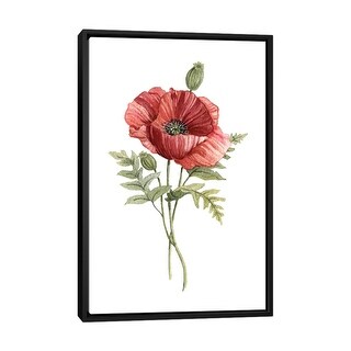 iCanvas "Scarlet Poppy" by Carol Robinson Framed - Bed Bath & Beyond ...