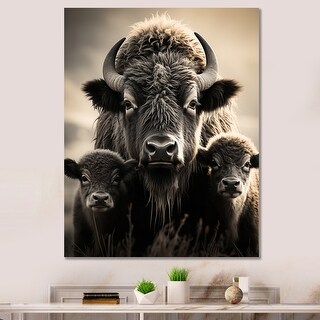 Designart "Bison Bison Family Bond" Animals Bison Canvas Print - Bed ...