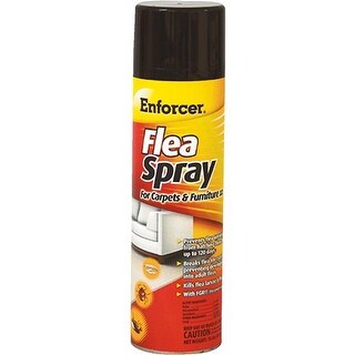 ZEP Enforcer 14Oz Carpet Flea Spray ENFS14 Unit: EACH - Bed Bath ...