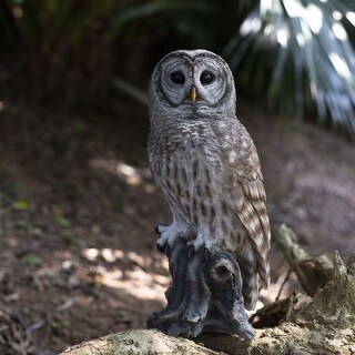Barred Owl Standing on Branch Outdoor Garden Statue - 13.75" - Bed Bath ...
