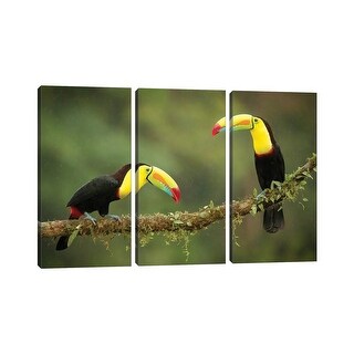 iCanvas "Singing In The Rain" by Renee Doyle 3-Piece Canvas Wall Art ...