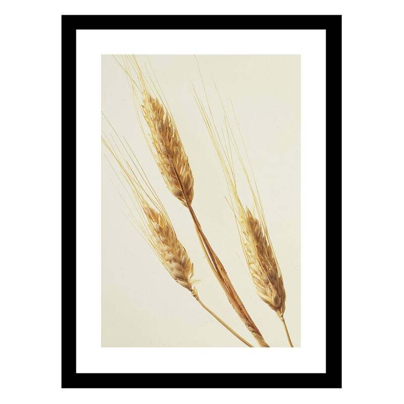 Venice Beach Collections Heller Photography Multi-Color MDF Frame with ...