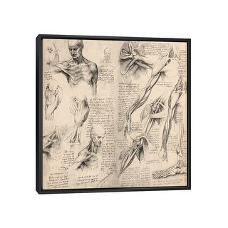 iCanvas "Sketchbook Studies of Human Body Collage" by Leonardo da Vinci ...