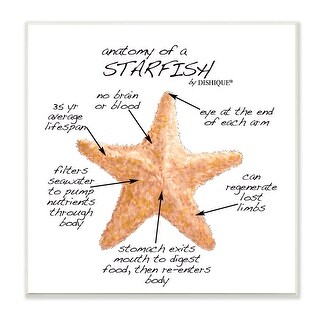 Stupell Anatomy of Starfish Sea Life Wildlife Educational Facts Wood ...