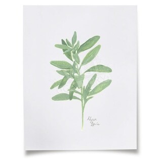 "Nature's Lace 2" - Sage - Individual Paper Print - Unframed - 11" x 14 ...