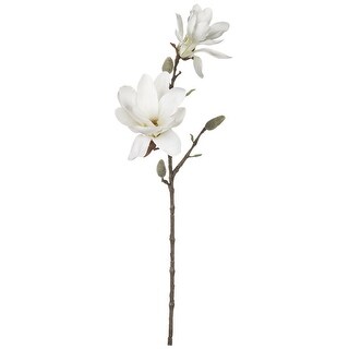 Sullivans Artificial Magnolia Stem 25"H White Flowers - 25"H x 7"L x 7 ...