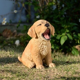 Yawning Golden Retriever (Hi-Line Exclusive) - Bed Bath & Beyond - 43247695