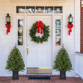 Fraser Hill Farm 4-Ft. Boxwood Porch Tree in Black Pot with Warm White ...