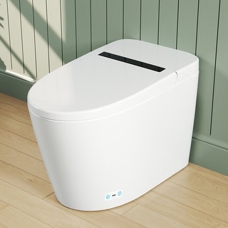 DeerValley Smart Toilet, Auto Flush, Heated Seat, Tankless One-Piece ...