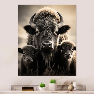 Designart "Bison Bison Family Bond" Animals Bison Metal Wall Art Living ...
