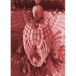 Ahgly Company Machine Washable Transitional Cranberry Red Area Rugs ...