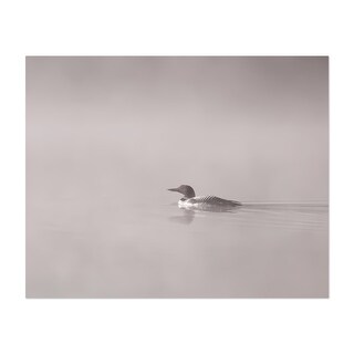 Banff National Park Alberta Canada Loonie Autumn Fog Art Print/Poster ...