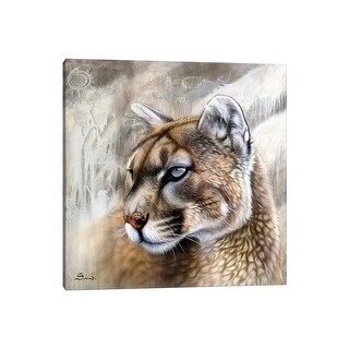 iCanvas "Catamount" by Sandi Baker Canvas Print - Bed Bath & Beyond ...
