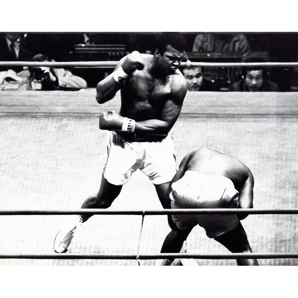 Muhammad Ali and Mac Foster boxing Photo Print - Bed Bath & Beyond ...
