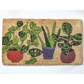 1'6"x2'6" Assorted Plants in Platners Rectangle Indoor and Outdoor Coir ...