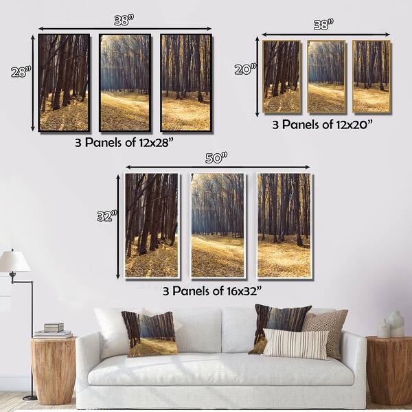 Designart "Path in the Fall Forest Panorama" Forest Framed Art Set of 3 ...