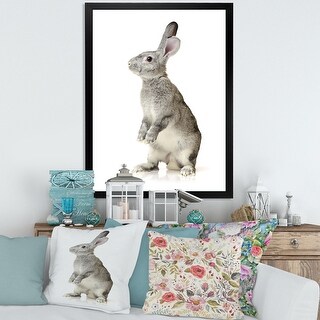 Designart "Portrait Of A Grey Rabbit" Traditional Framed Art Print ...