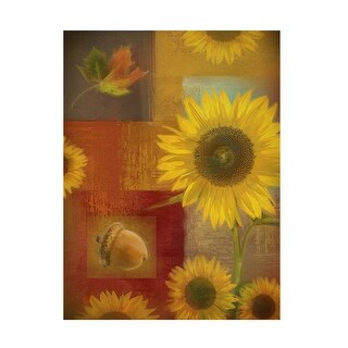 Mary Jane Creative 'Autumn Sun' Canvas Art - Bed Bath & Beyond - 39538322