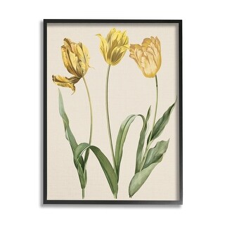 Stupell Three Tulip Sprigs Framed Giclee Art Design by Lil' Rue - Bed ...