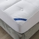 Royal Velvet Button Stitch Stain Restistant Mattress Pad - White - Bed ...