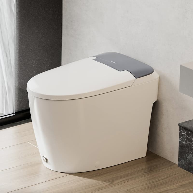 Casta Diva Non Electric Bidet Toilet Combo Air Assisted Pressure Flush