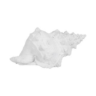 Sagebrook Home Coastal Charm 9" Polyresin White Conch Shell Figurine ...