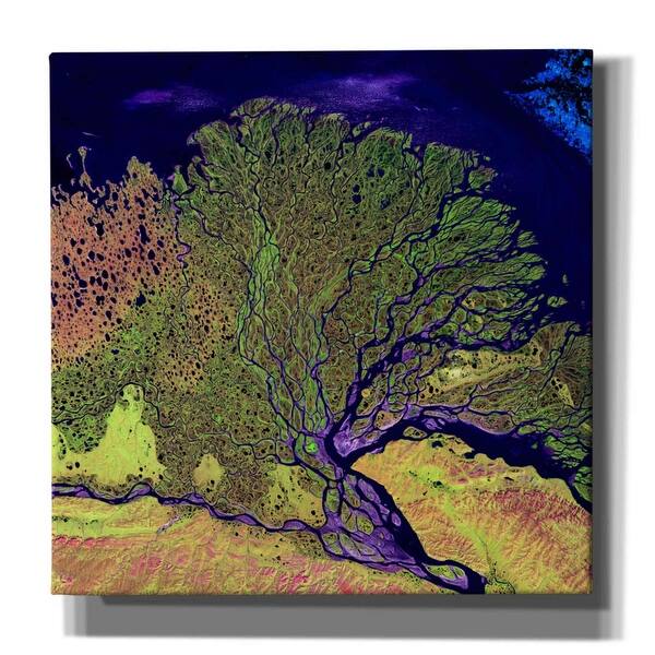 Epic Graffiti 'Earth As Art: Lena Delta' Canvas Wall Art - Bed Bath ...