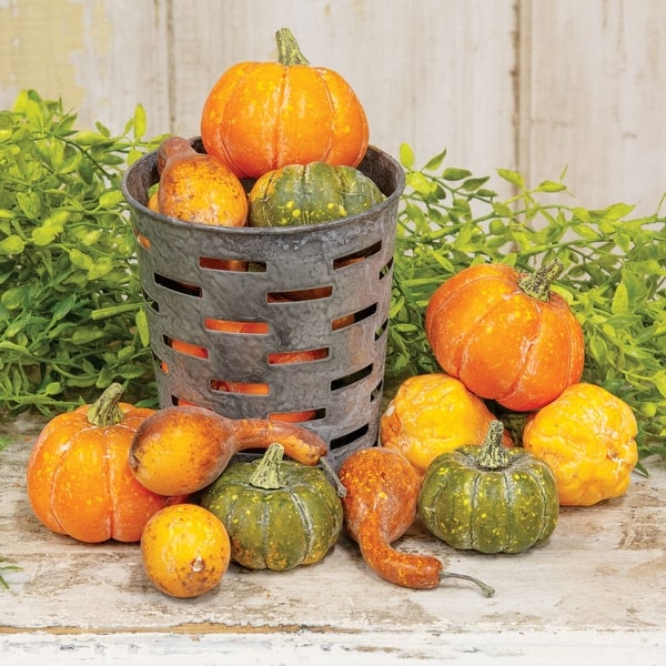 16/Pkg Colorguard Pumpkins & Gourds - Bed Bath & Beyond - 36295916