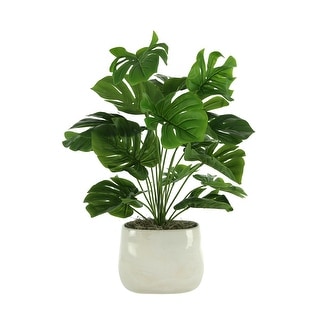 Split Leaf Philo Arrangement - Bed Bath & Beyond - 40815593