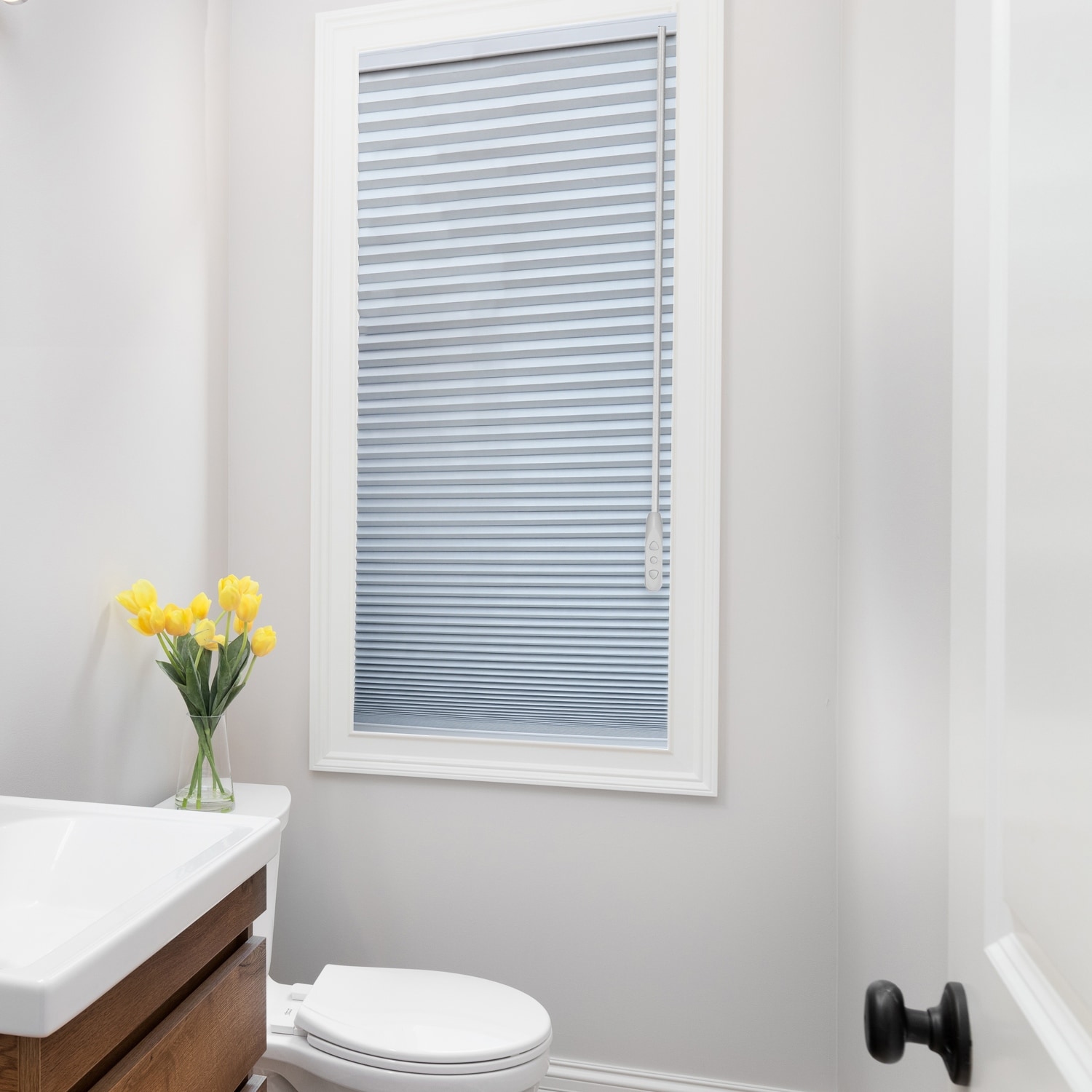 bathroom window blackout