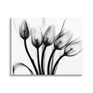 Stupell Modern Tulip Blossom Abstract Monochrome Silhouette Photography ...