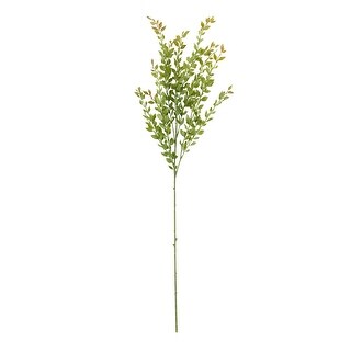 Acacia Stem Floral Accent (Set of 12) - Green - 39" - Bed Bath & Beyond ...