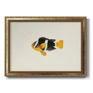 Tropical Fish Collection II Premium Framed Canvas- Ready to Hang - Bed ...