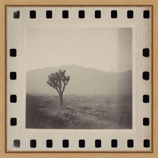 Joshua Tree Memories II by Twentybynine Framed Canvas Wall Art Print ...