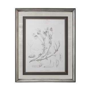 Orobus Littoralis Framed Art Print - Bed Bath & Beyond - 39198725
