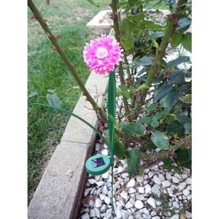 Decorative Pink Bloom Onion Flower Solar Light White Led - Bed Bath ...