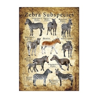 Zebra Subspecies Illustrations Animals Grassland Art Print/Poster - Bed ...