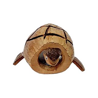 Turtle In Coconut Shell - Bed Bath & Beyond - 40392332