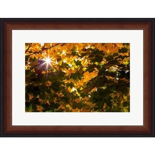 Dora Artemiadi 'Autumn Sun' Framed Art - Bed Bath & Beyond - 36113896