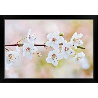 single stem spring flowers