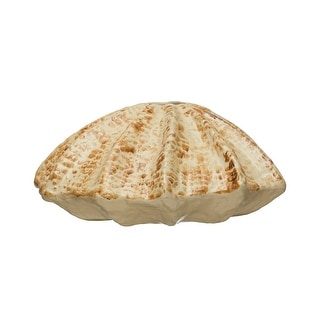 Stoneware Shell Shaped Vase - Bed Bath & Beyond - 37500964